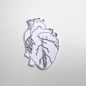 Anatomical Heart, Heart Sticker, Anatomical Heart Sticker, Medical ...