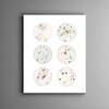 Amniotic Ferning, Microscopy, Obstetrics, OBGYN, Pregnancy, Medical Art ...