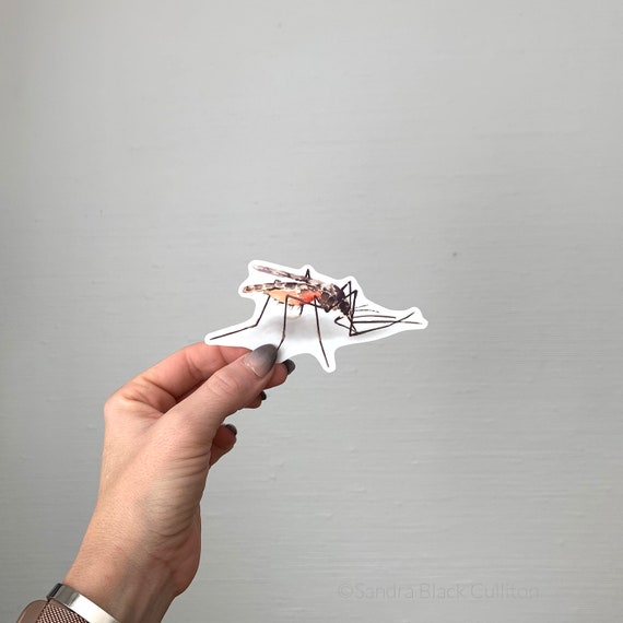 Mosquito Sticker Mosquito Science Stickers Science Laptop | Etsy