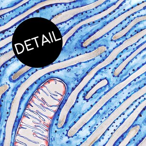 Endoplasmic Reticulum in Blue, Art Print, Science Art, Science Print ...