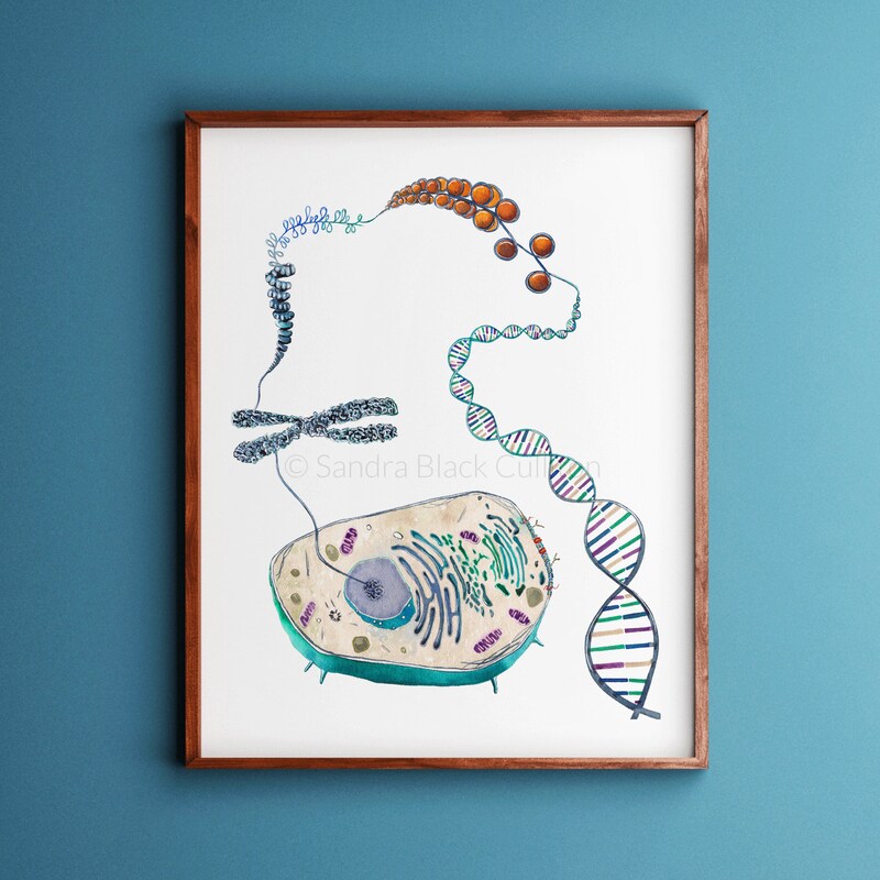 Biology Wall Art - Etsy