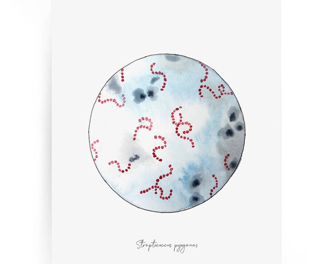 Staphylococcus Aureus Science Art Bacteria Print Biology Art ...