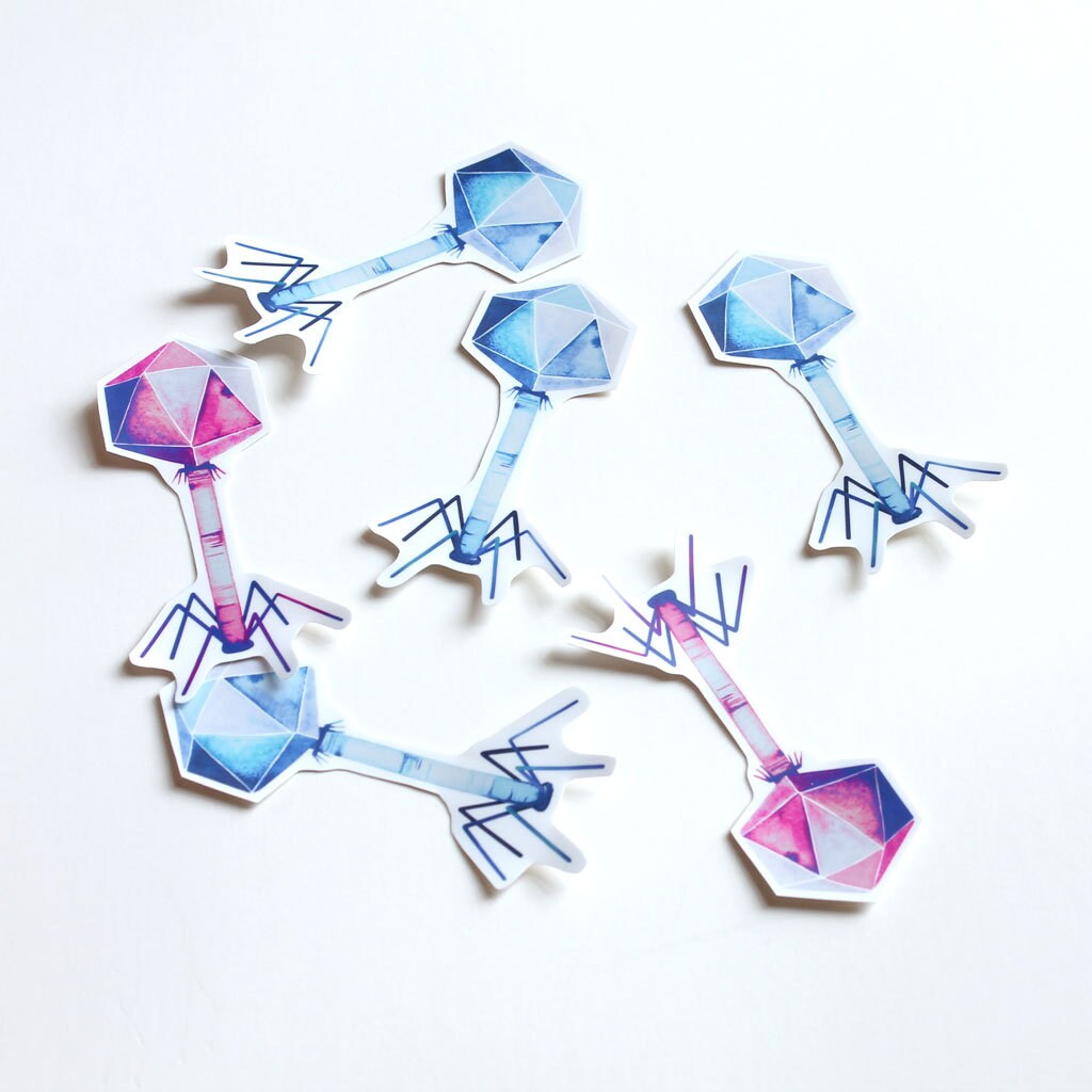 Bacteriophage Vinyl Sticker Laptop Stickers Science Art | Etsy