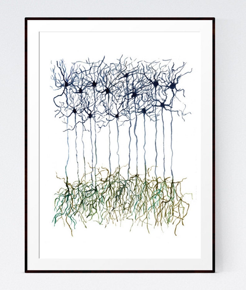 Neuron 2 Neurons Neurology Art Print neuron print | Etsy