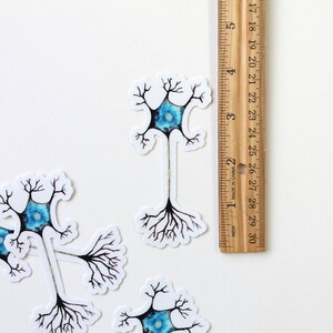 Neuron Sticker, Vinyl Sticker, Stickers, Laptop Stickers, Bumper ...