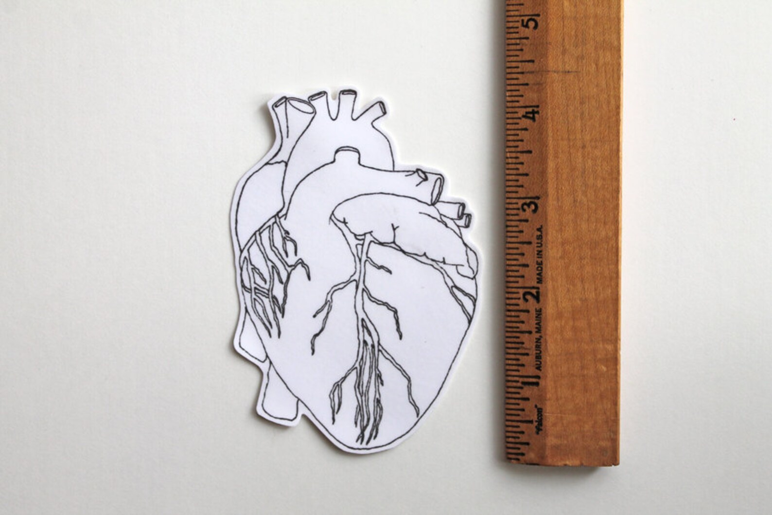 Anatomical Heart Heart Sticker Anatomical Heart Sticker - Etsy