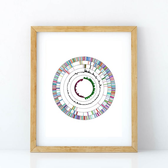 Genome 2 DNA DNA Art Science Science Art Watercolor - Etsy