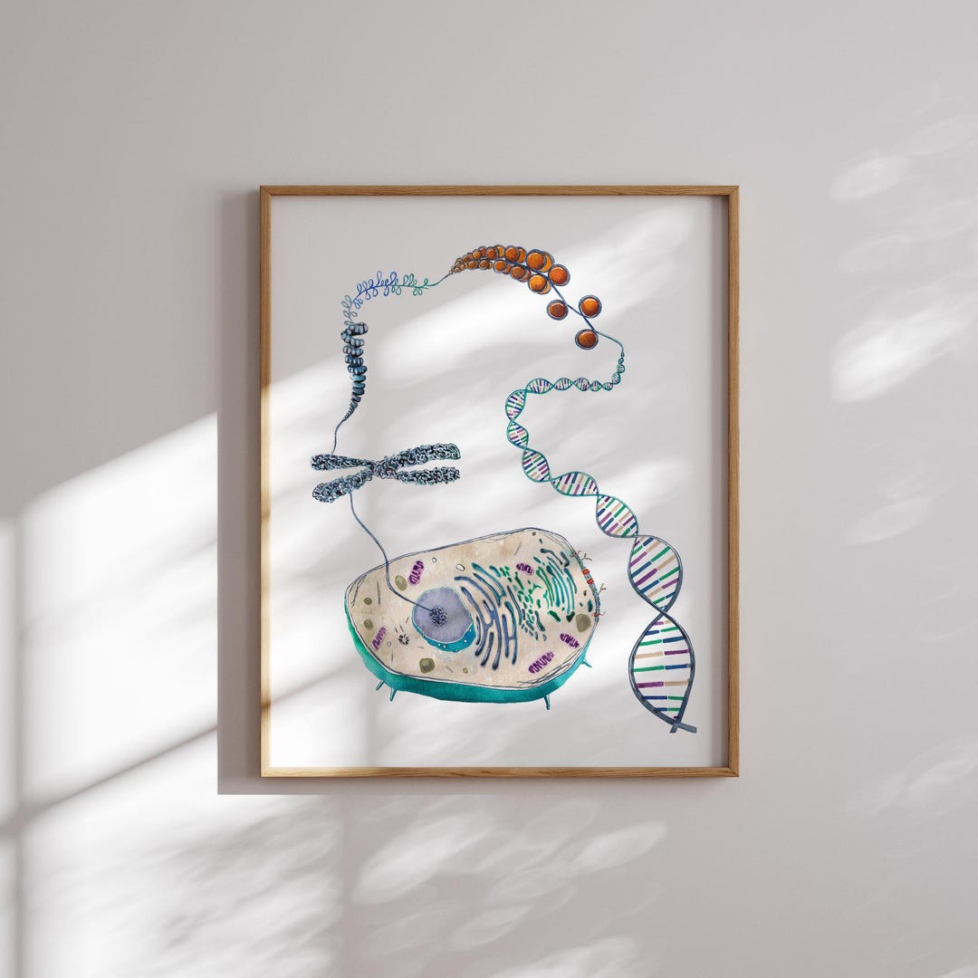 Cell to Helix, Science, Science Art, Biology, DNA, Genetics, Dna Art ...