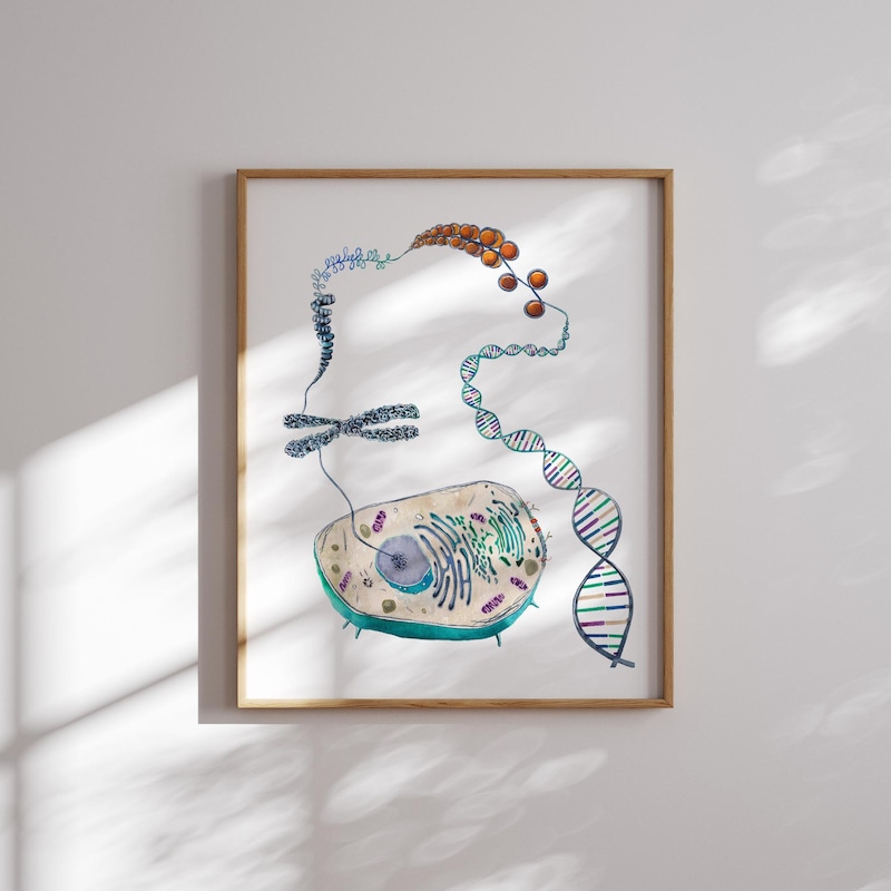 Biology Wall Art - Etsy