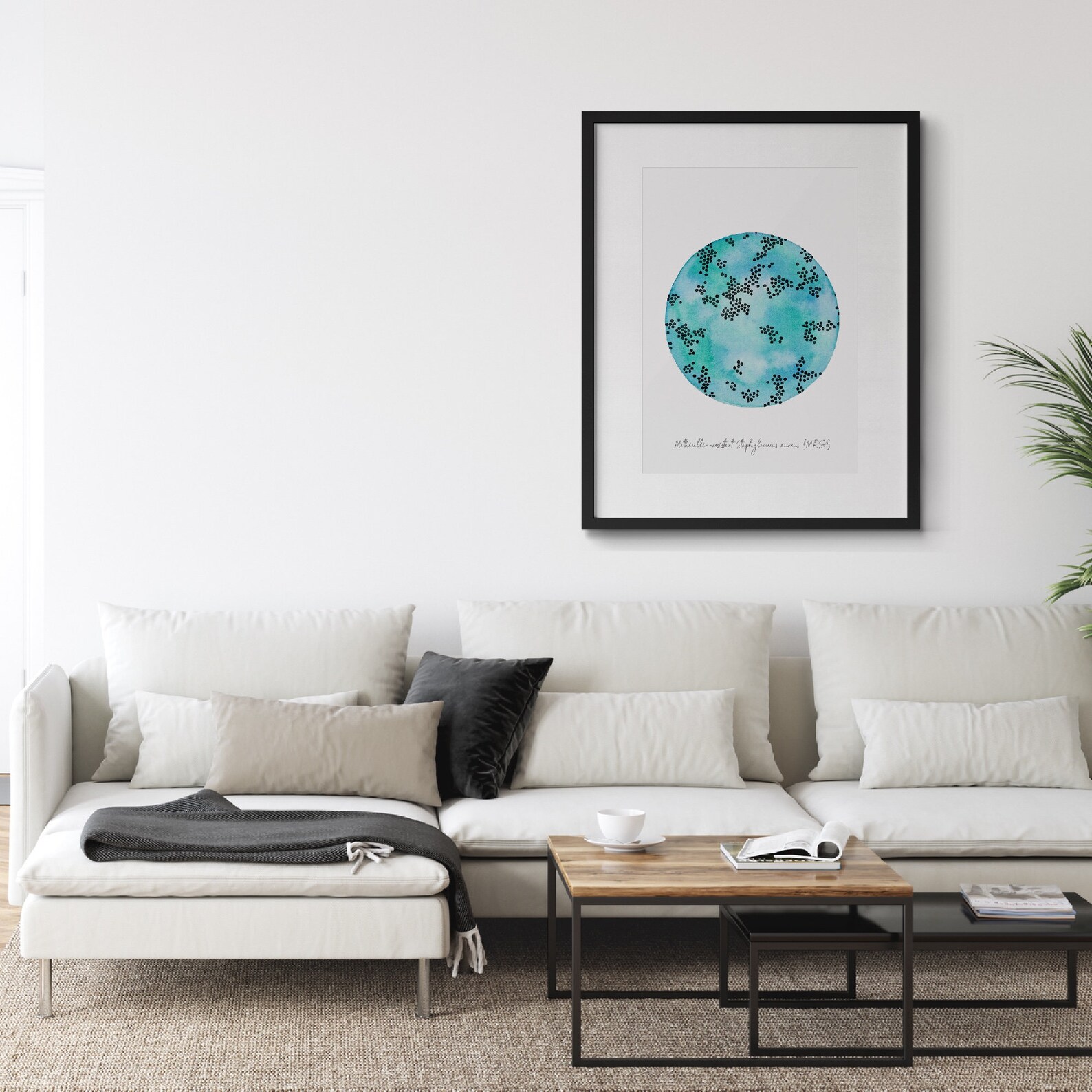 MRSA Staphylococcus Aureus Bacteria Art Microbiology - Etsy