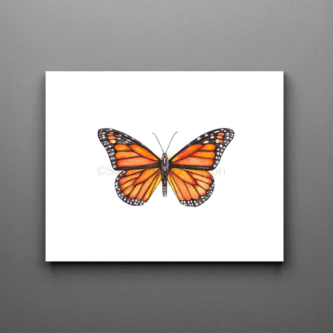 Monarch, Monarch Print, Monarch Art, Butterfly Print, Butterfly ...