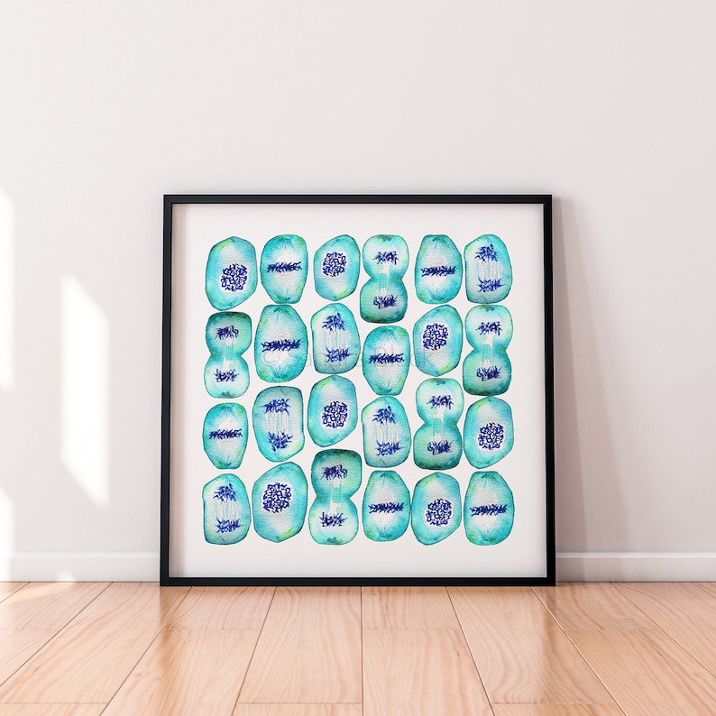 Mitosis Watercolor Print Science Mitosis Biology Art - Etsy