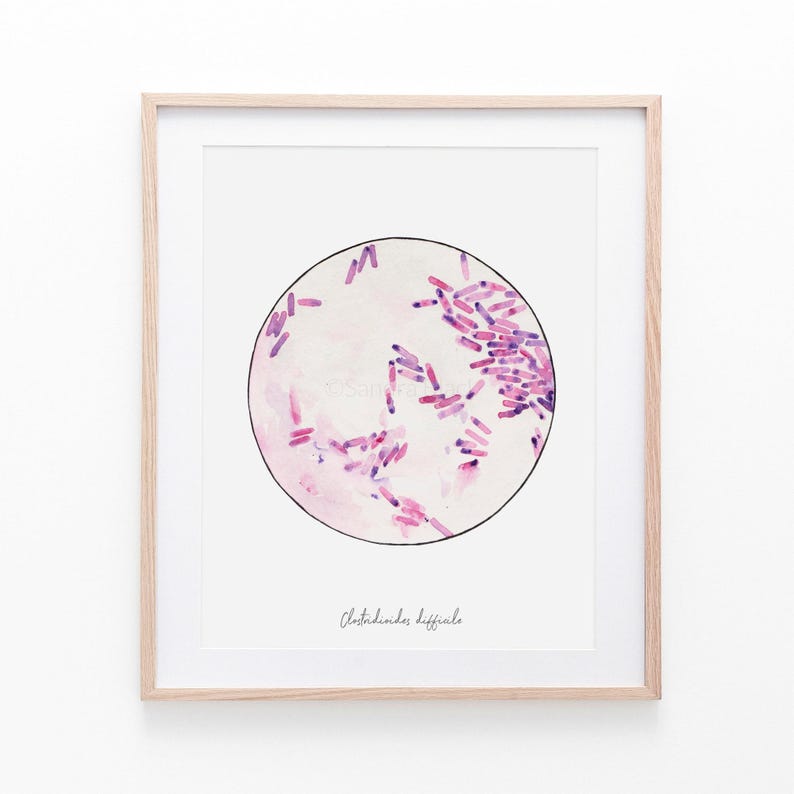 Clostridioides Difficile, Clostridium, Cdiff, Infectious Disease ...