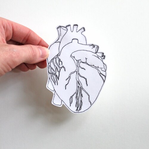 Angiogram Vinyl Sticker Cool Sticker Laptop Sticker Lung - Etsy