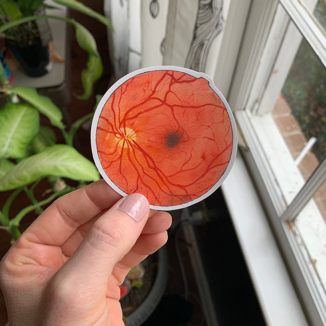 Retina Sticker, Laptop Sticker, Bumper Sticker, Science, Science Art ...