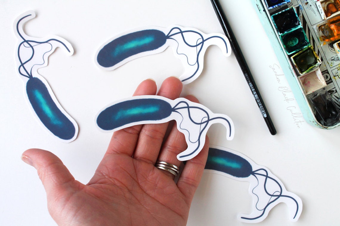 Bacteria Sticker Science Stickers Science Laptop Stickers - Etsy