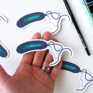 Bacteria Sticker, Science Stickers, Science, Laptop Stickers, Vinyl ...