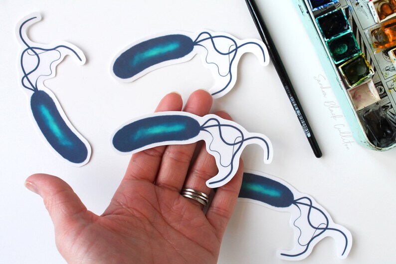 Bacteria Sticker Science Stickers Science Laptop Stickers - Etsy