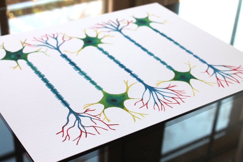 Neuron 5 Neurons Science Art Science Print Watercolor Art - Etsy