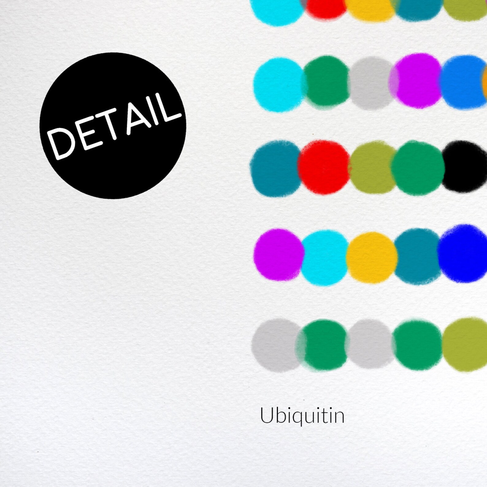 UBIQUITIN Amino Acid Sequence Chemistry Art Biology Art - Etsy