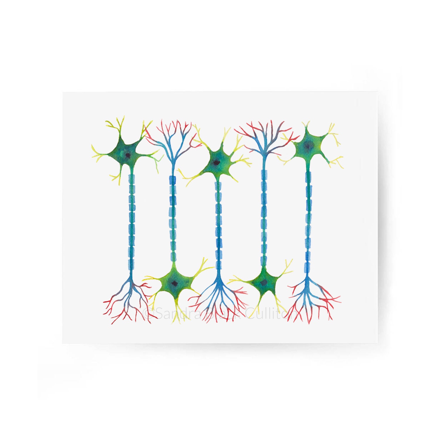 Neuron 5 Neurons Science Art Science Print Watercolor Art - Etsy
