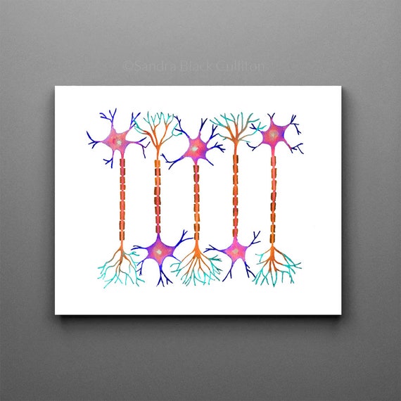 Biology Art Neurons