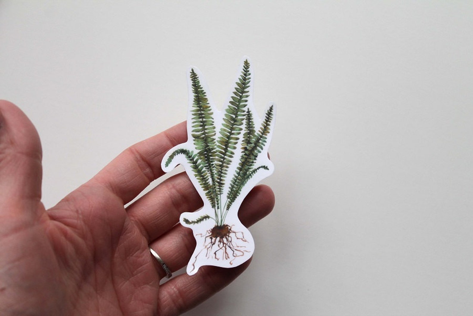 Fern Sticker Fern Fern Art Plant Sticker Botany Vinyl - Etsy