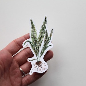 Fern Sticker Fern Fern Art Plant Sticker Botany Vinyl - Etsy