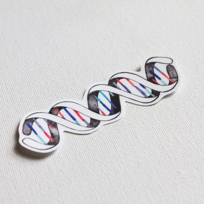 DNA Sticker Stickers Sticker Laptop Stickers Planner Vinyl - Etsy