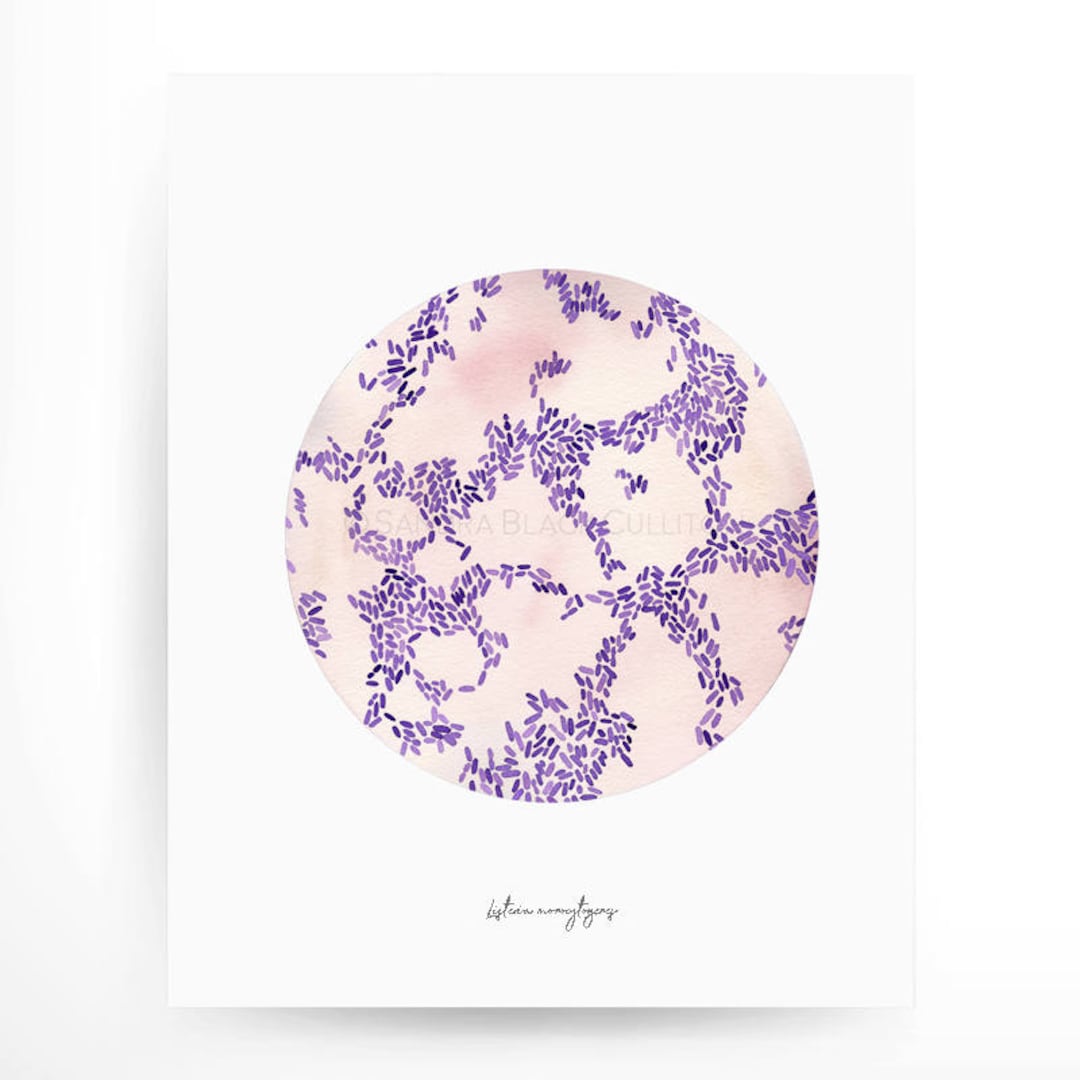 Listeria Monocytogenes, Bacteria, Bacteria Art, Watercolor, Science ...