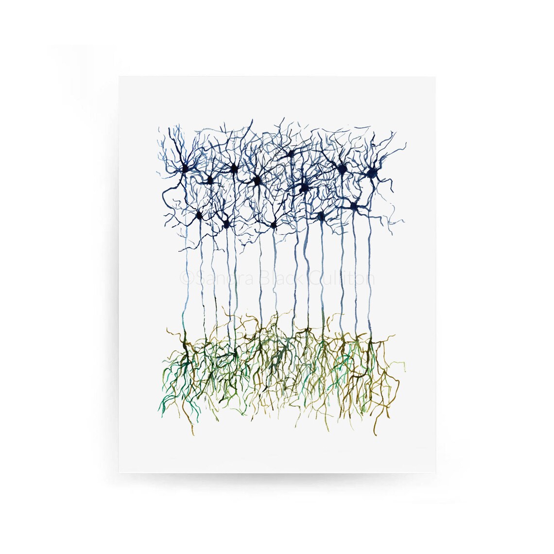 Neuron 2 Neurons Neurology Art Print Neuron Print - Etsy