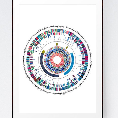 Cell to Helix Science Science Art Biology DNA Genetics - Etsy