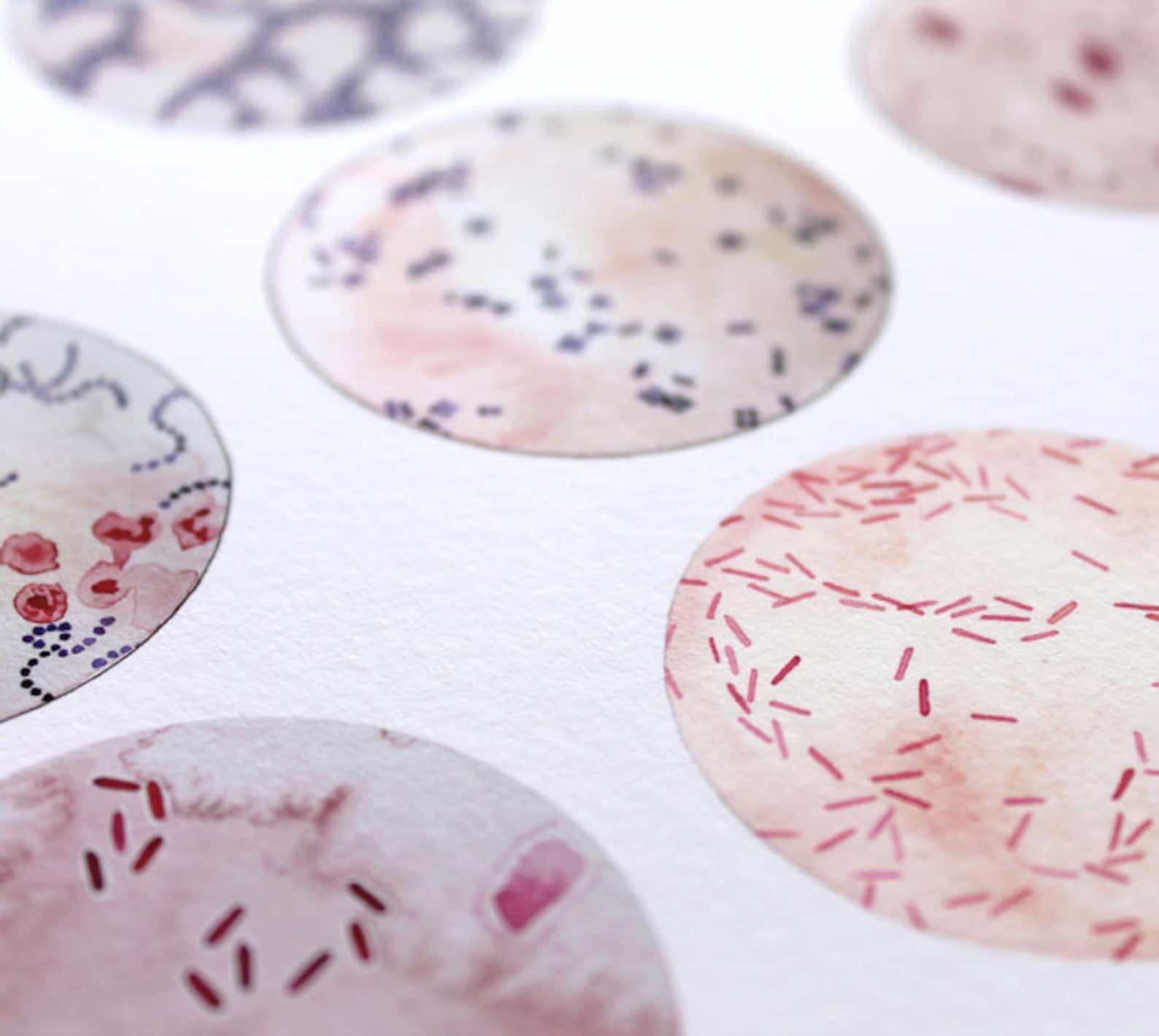 Microbe Collection, Bacteria, Bacteria Art, Science, Science Art ...