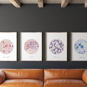 Micrococcus Luteus, Science, Science Art, Geekery, Science Print ...