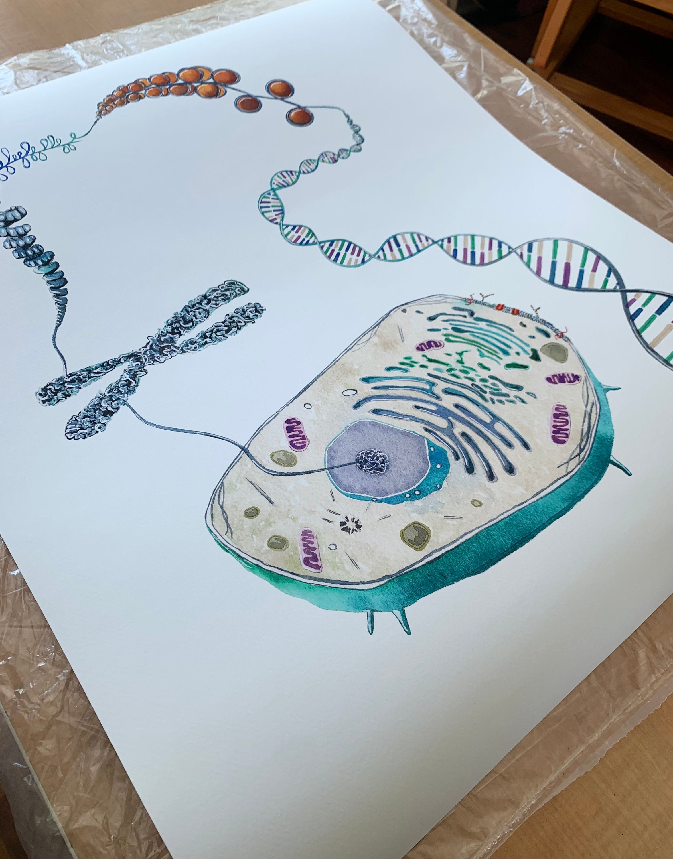 Cell to Helix Science Science Art Biology DNA Genetics - Etsy Canada