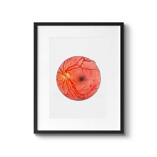 Eye Chart Decal Glasses Decal Eye Doctor Gift Optometry | Etsy