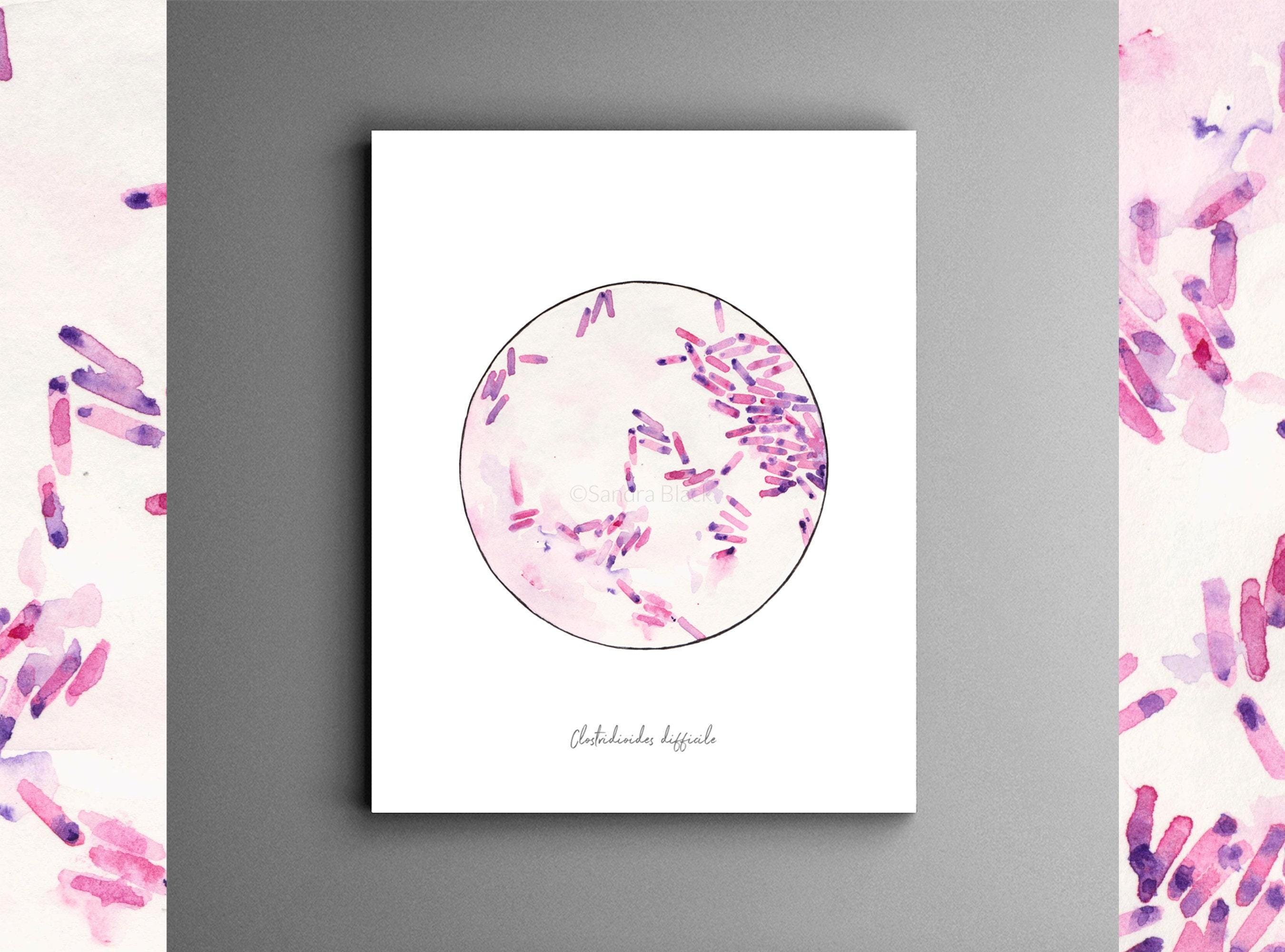 Clostridioides Difficile, Clostridium, Cdiff, Infectious Disease ...