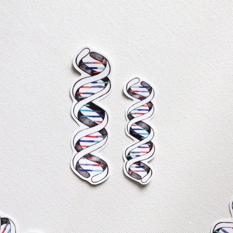 DNA Sticker Stickers Sticker Laptop Stickers Planner Vinyl - Etsy
