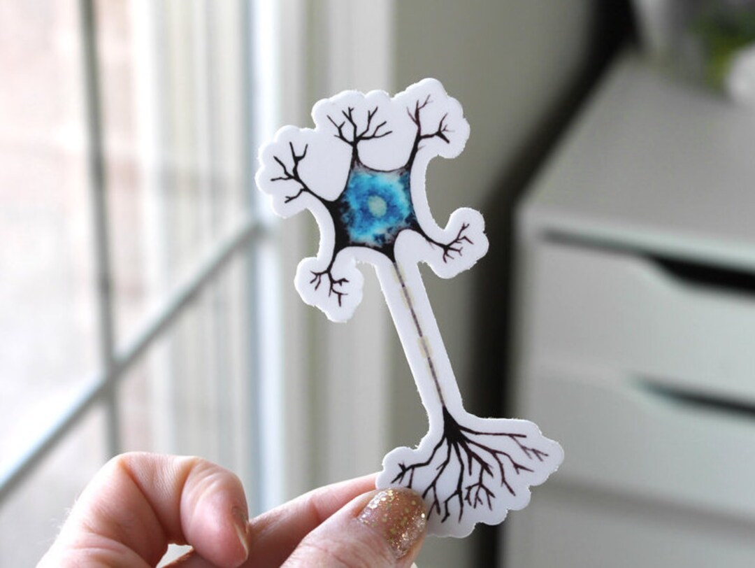 Neuron Sticker, Vinyl Sticker, Stickers, Laptop Stickers, Bumper ...