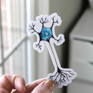 Neuron Sticker Vinyl Sticker Stickers Laptop Stickers - Etsy