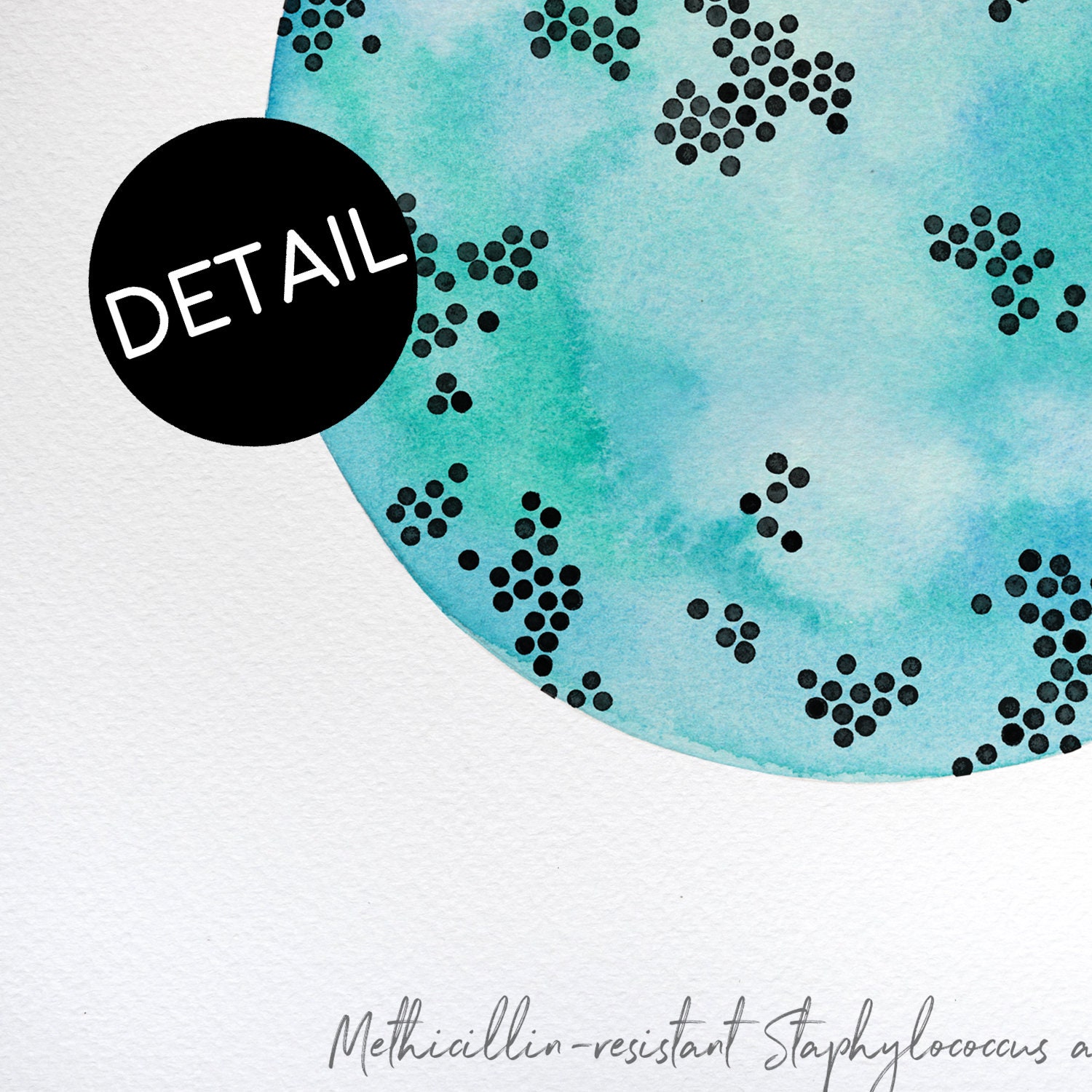 MRSA Staphylococcus Aureus Bacteria Art Microbiology | Etsy