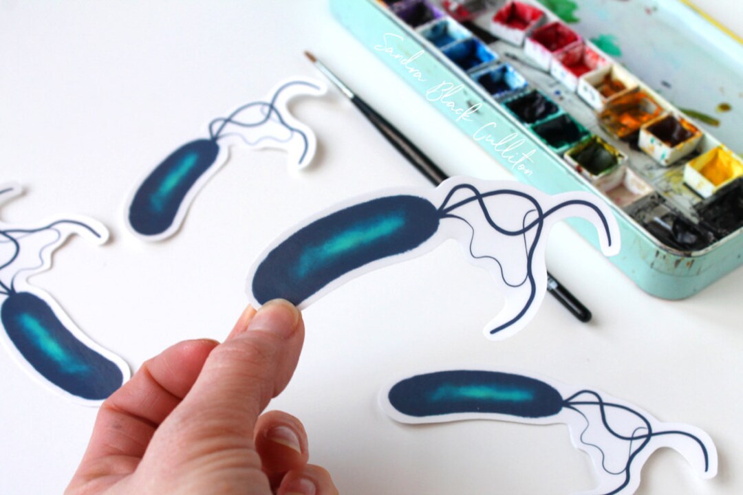 Bacteria Sticker, Science Stickers, Science, Laptop Stickers, Vinyl ...