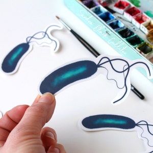 Bacteria Sticker, Science Stickers, Science, Laptop Stickers, Vinyl ...