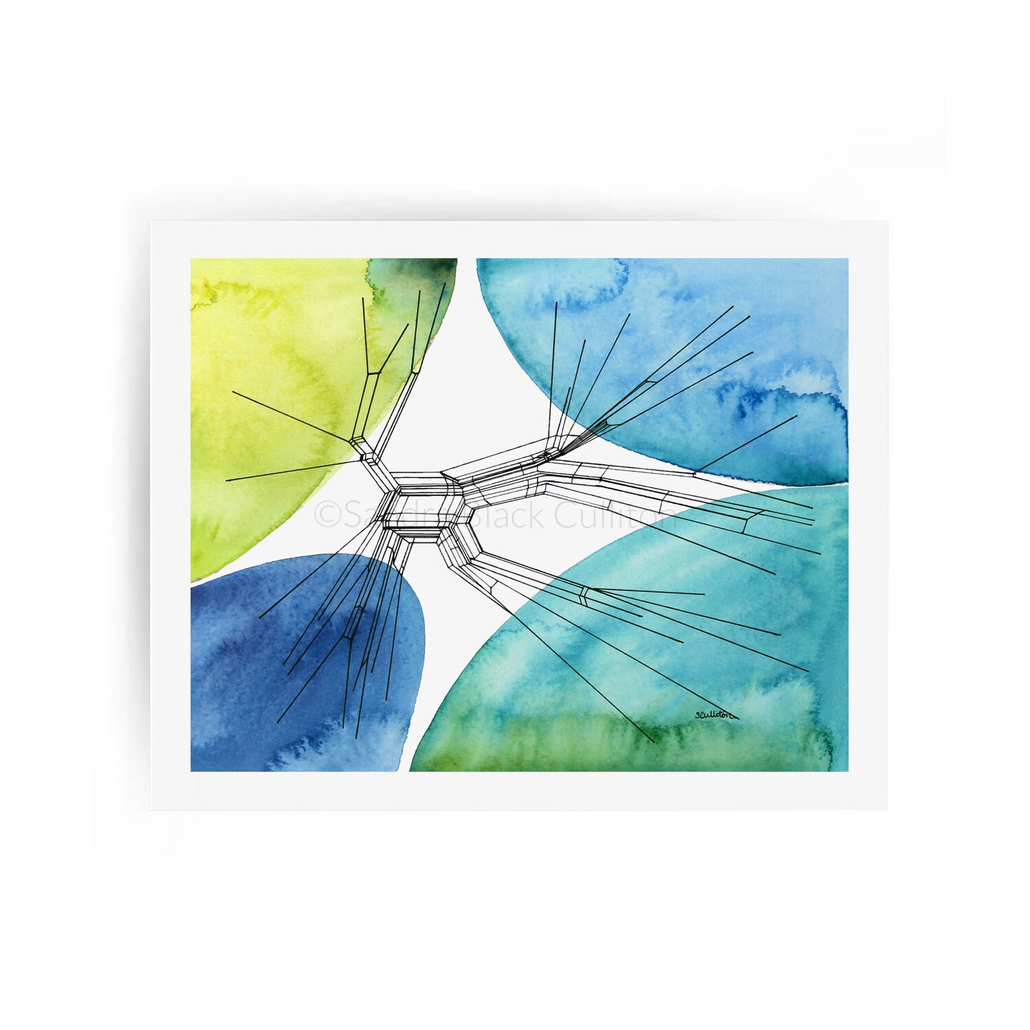 Network Phylogeny science science art evolution watercolor | Etsy