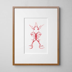 Circle of Willis: Medical Anatomy Art Science Poster Print - Etsy