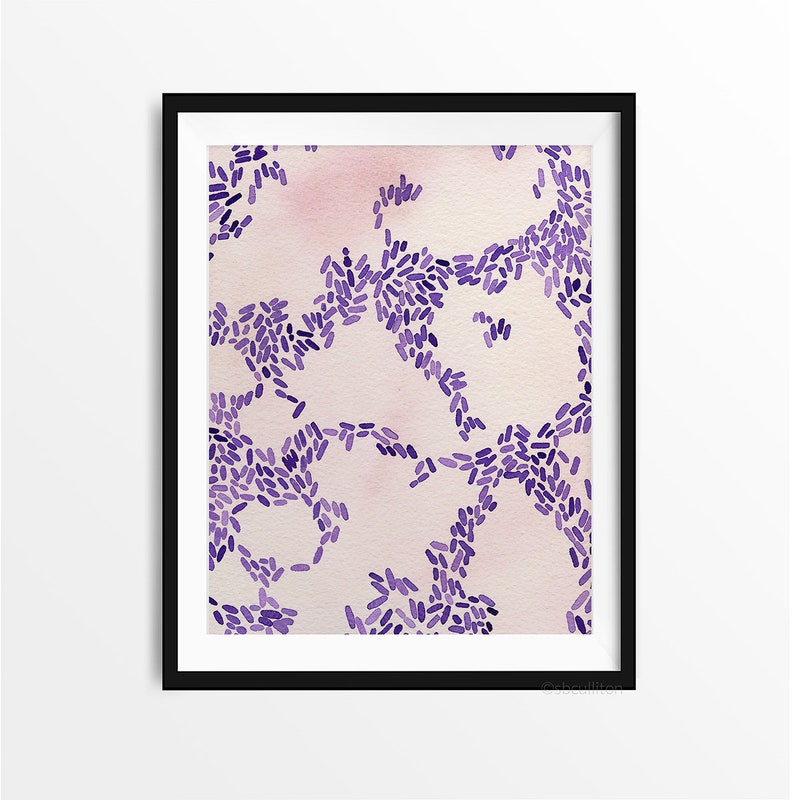 Biology Art Painting - Etsy