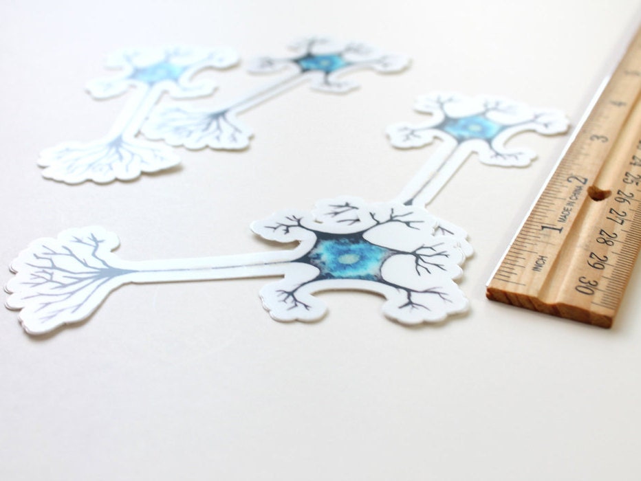 Neuron Sticker Vinyl Sticker Stickers Laptop Stickers | Etsy
