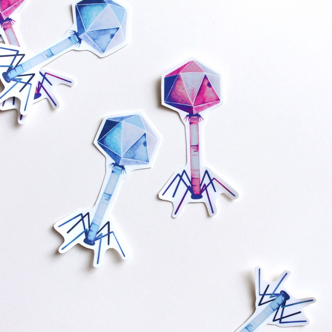 Bacteriophage Vinyl Sticker, Laptop Stickers, Science Art, Vinyl ...