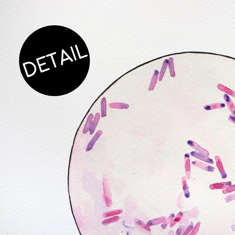 Clostridioides Difficile, Clostridium, Cdiff, Infectious Disease ...