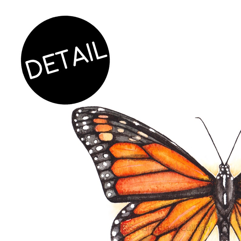 Monarch Monarch Print Monarch Art Butterfly Print - Etsy